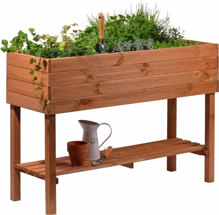 Beste moestuinbak en kweekbak voor de moestuin (2023) | Moestuintijd